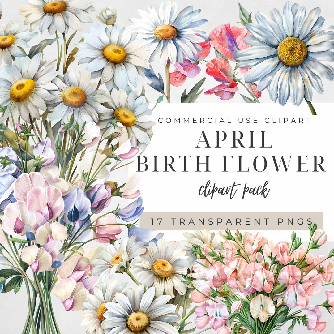 April Birth Flower Clipart, Watercolor Daisy Sweet Pea Floral Bouquet ...