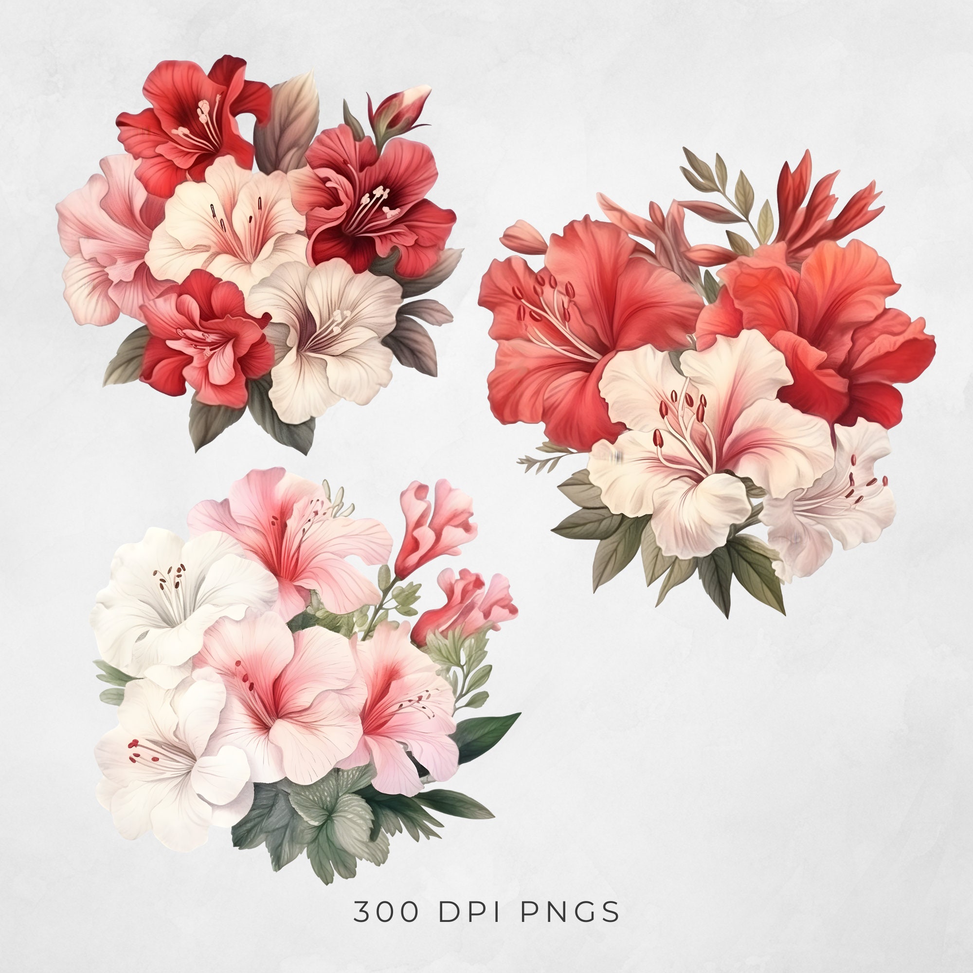 Azalea Flower Clipart, Watercolor Blossoms, Pink Purple Red Spring Wild ...