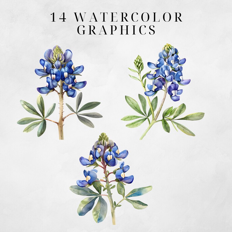 Bluebonnets Clipart, Watercolor Blue Floral Garden, Texas State Flower ...