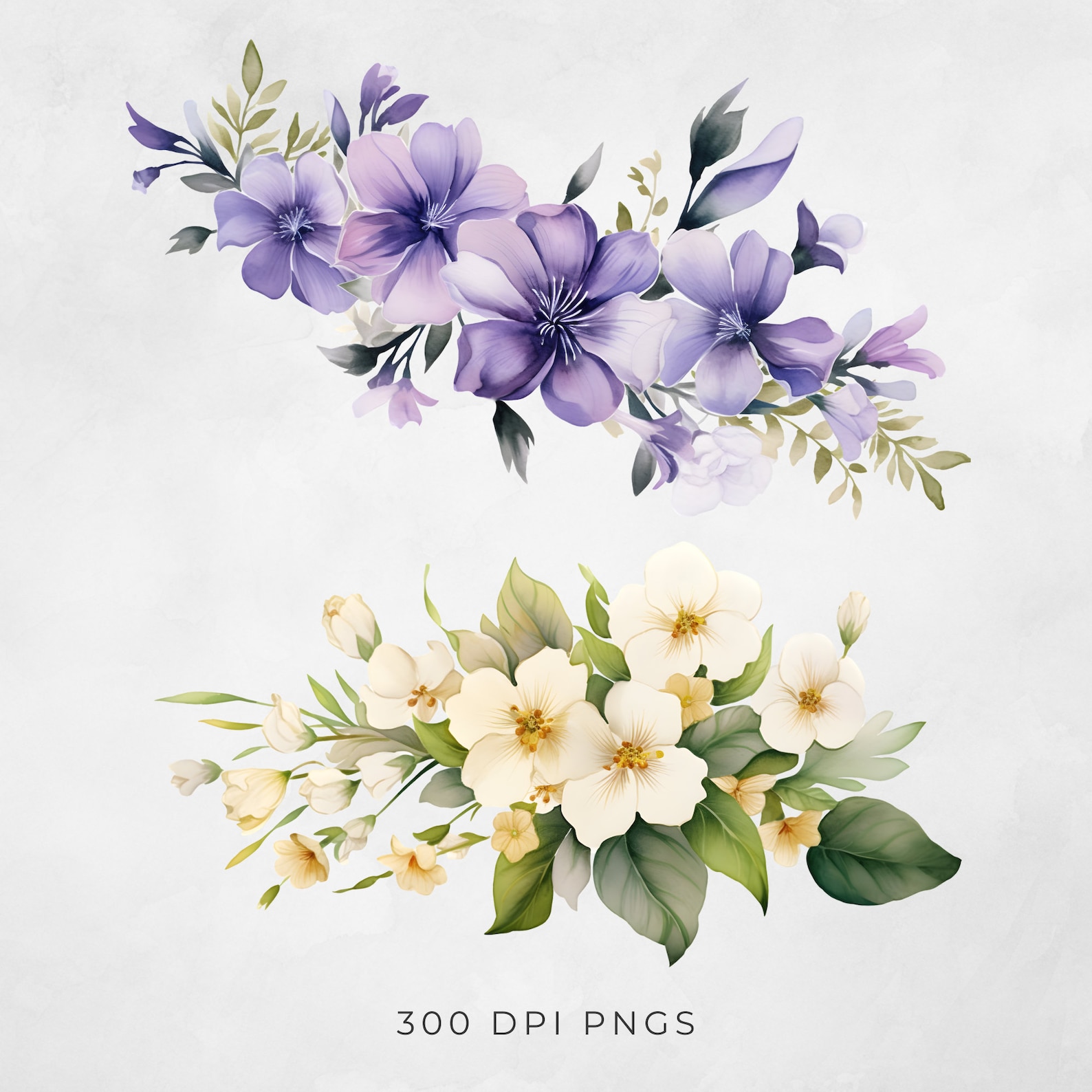 February Birth Flower Clipart, Watercolor Botanical Violet, Primrose ...