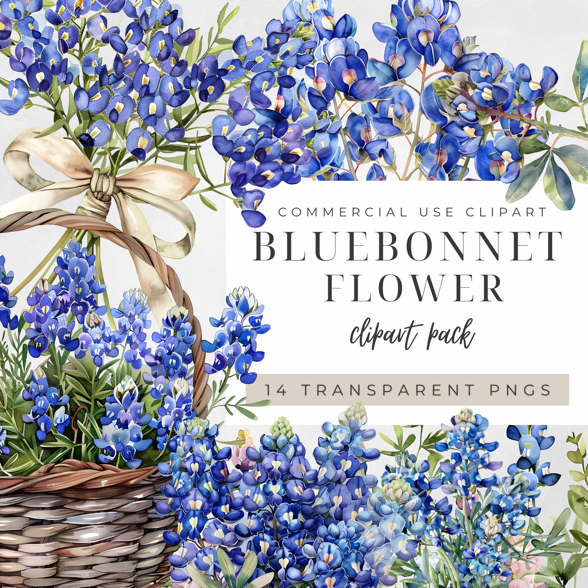 Bluebonnets Clipart, Watercolor Blue Floral Garden, Texas State Flower ...