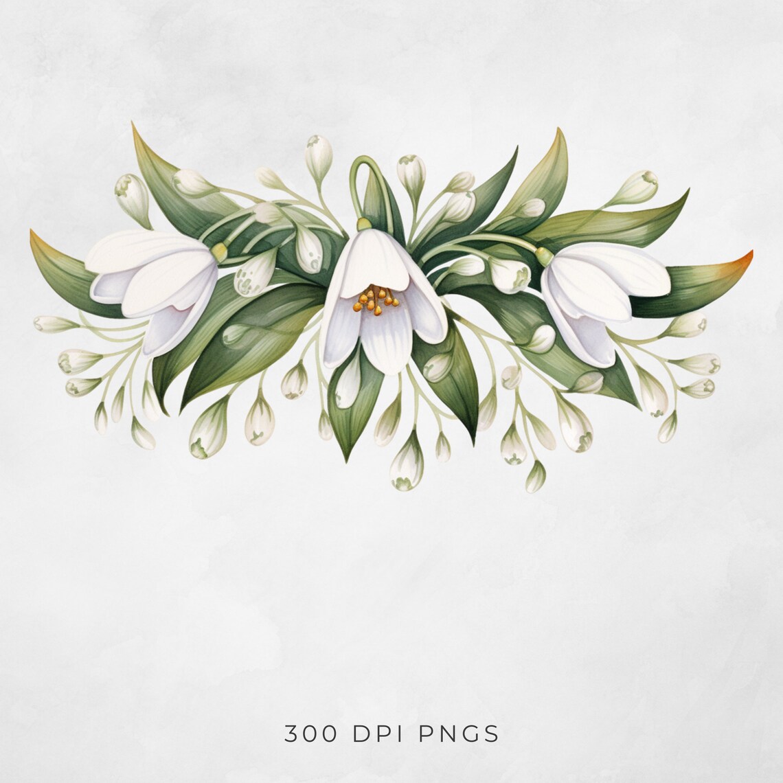 January Birth Flower Clipart, Watercolor Carnation Bouquet, Snowdrop ...