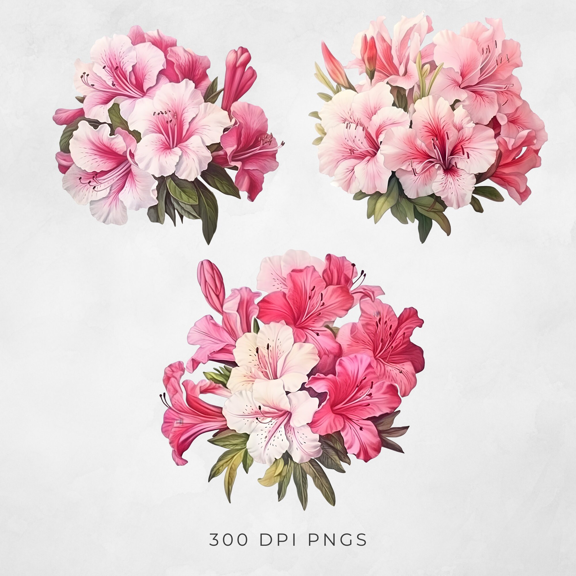 Azalea Flower Clipart, Watercolor Blossoms, Pink Purple Red Spring Wild ...