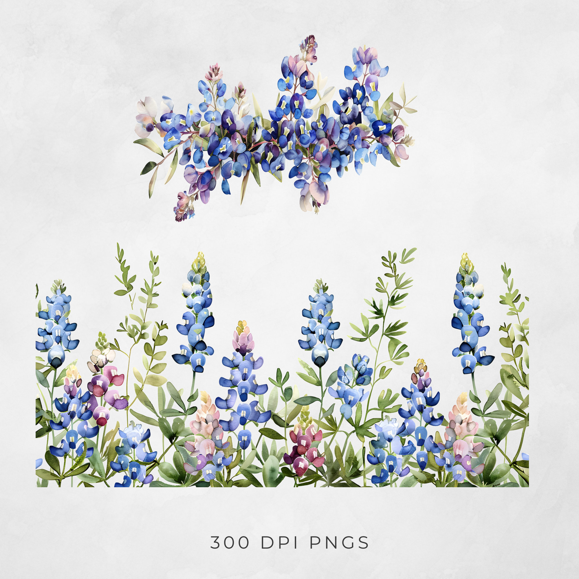 Bluebonnets Clipart, Watercolor Blue Floral Garden, Texas State Flower ...