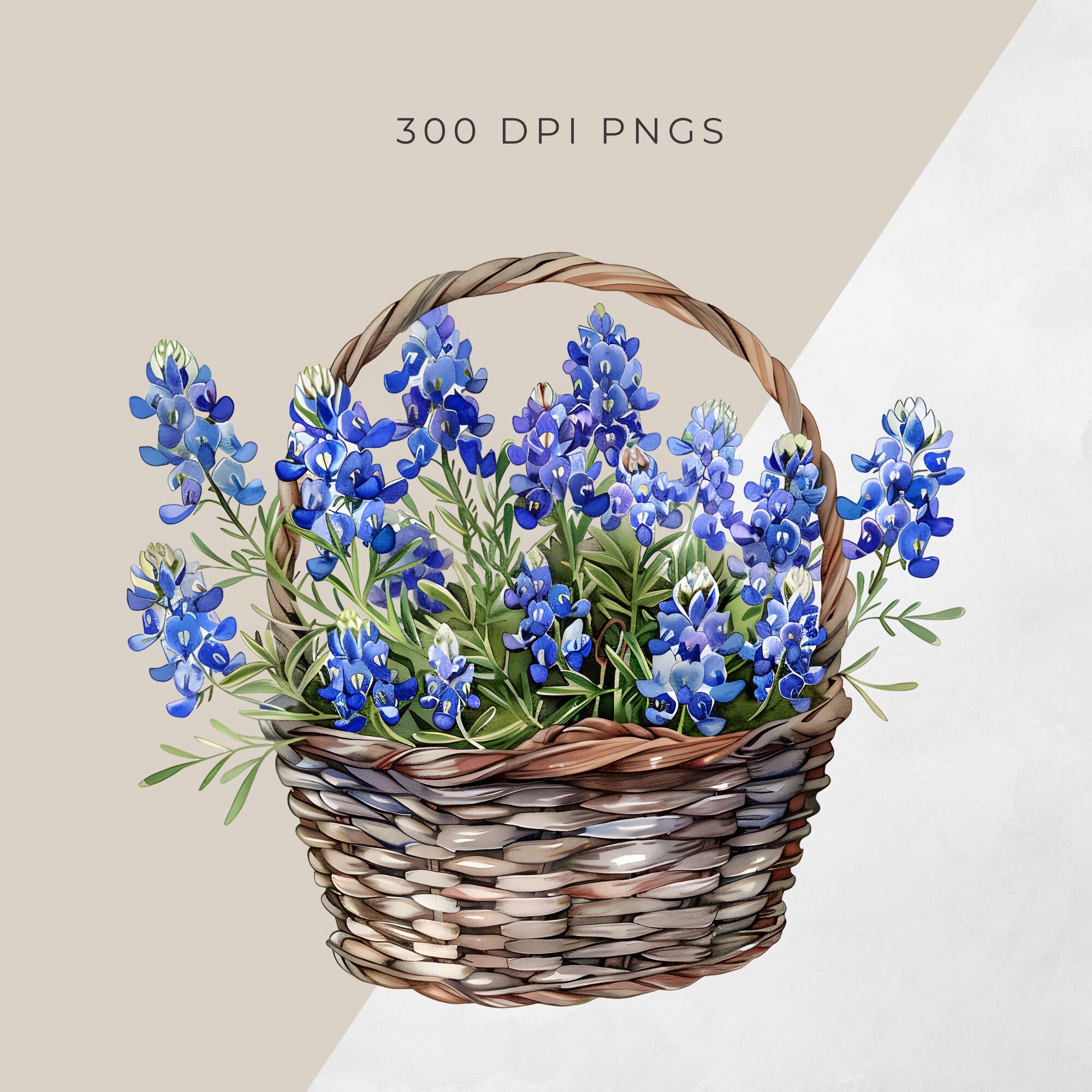 Bluebonnets Clipart, Watercolor Blue Floral Garden, Texas State Flower ...