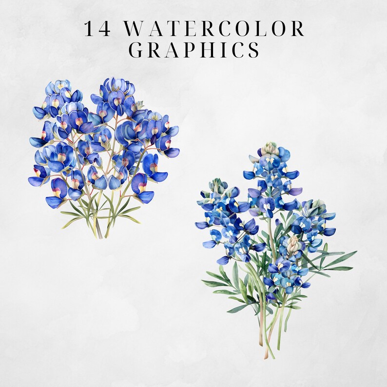 Bluebonnets Clipart, Watercolor Blue Floral Garden, Texas State Flower ...