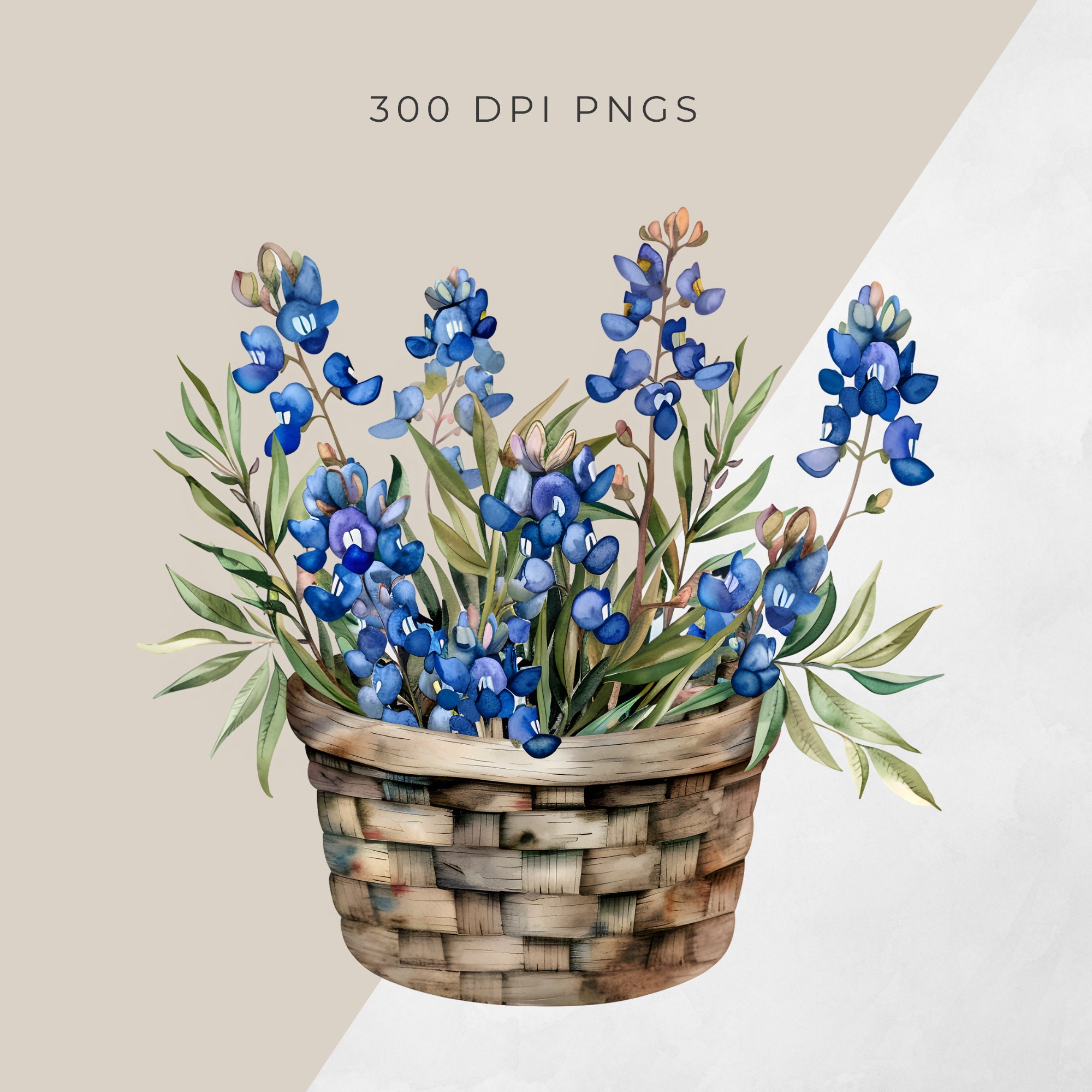 Bluebonnets Clipart, Watercolor Blue Floral Garden, Texas State Flower ...