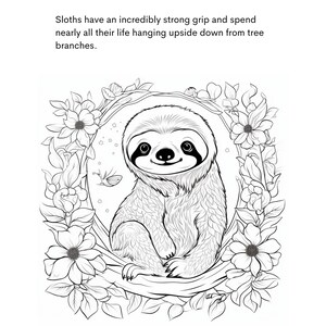 Secrets of Sloths Fun Facts Coloring Book Printable Coloring Pages ...