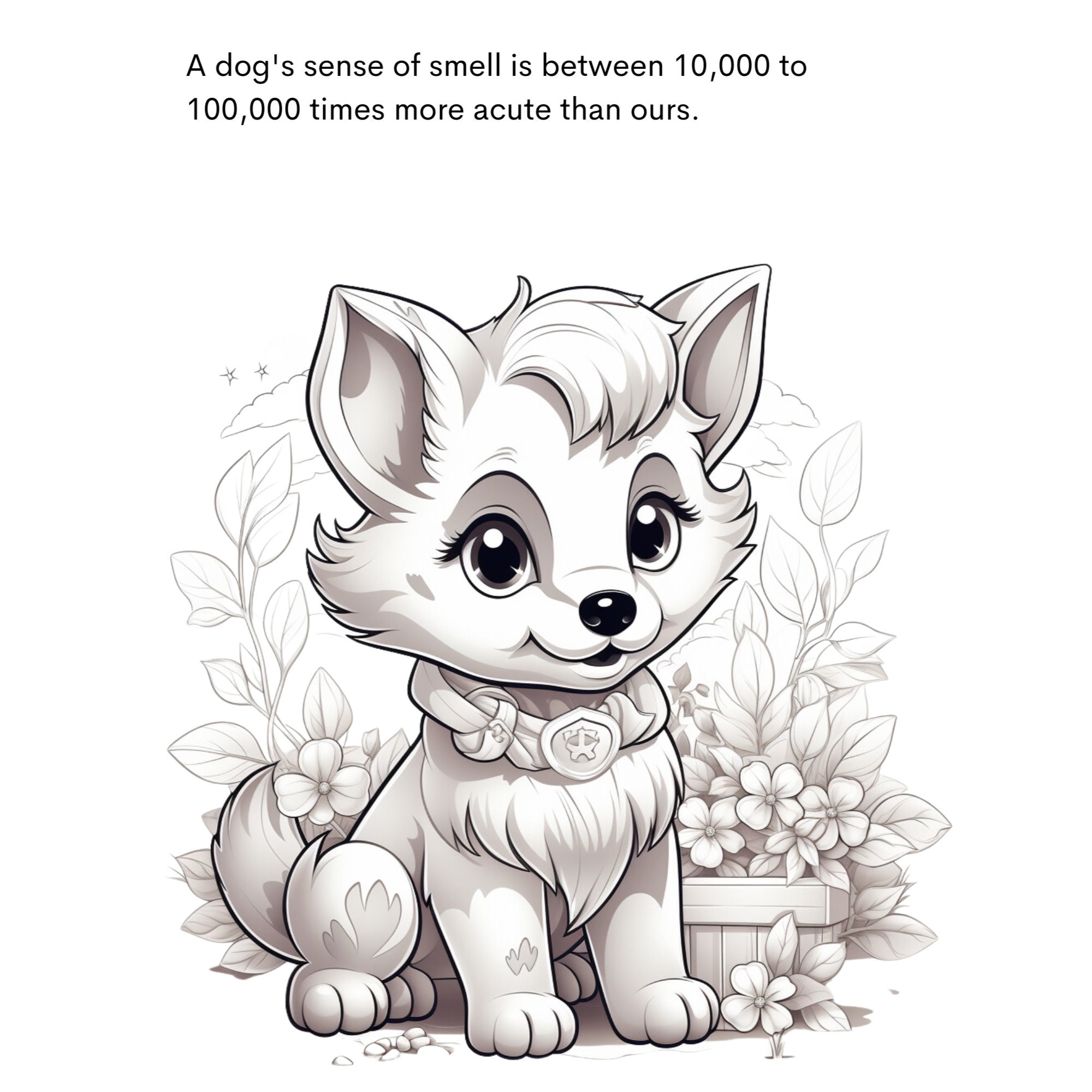 Paws for Color A Puppy Trivia Coloring Book - Etsy