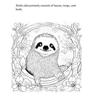 Secrets of Sloths Fun Facts Coloring Book Printable Coloring Pages ...