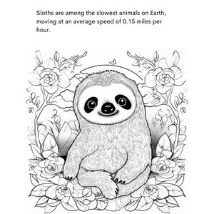 Secrets of Sloths Fun Facts Coloring Book Printable Coloring Pages ...
