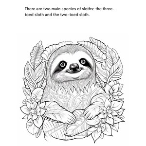 Secrets of Sloths Fun Facts Coloring Book Printable Coloring Pages ...