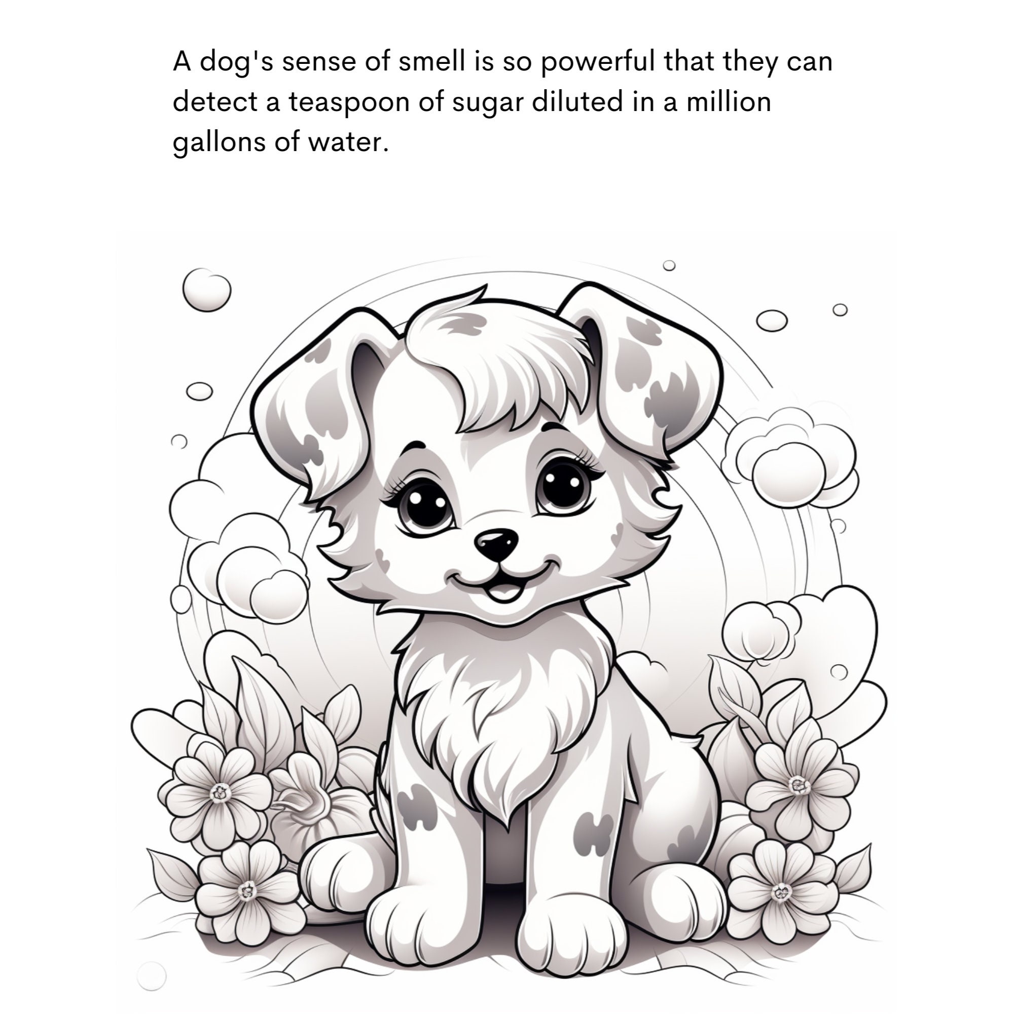 Paws for Color A Puppy Trivia Coloring Book - Etsy