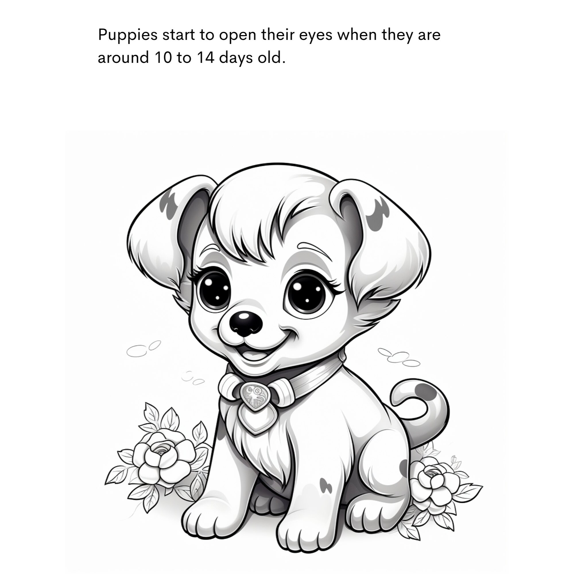 Paws for Color A Puppy Trivia Coloring Book - Etsy
