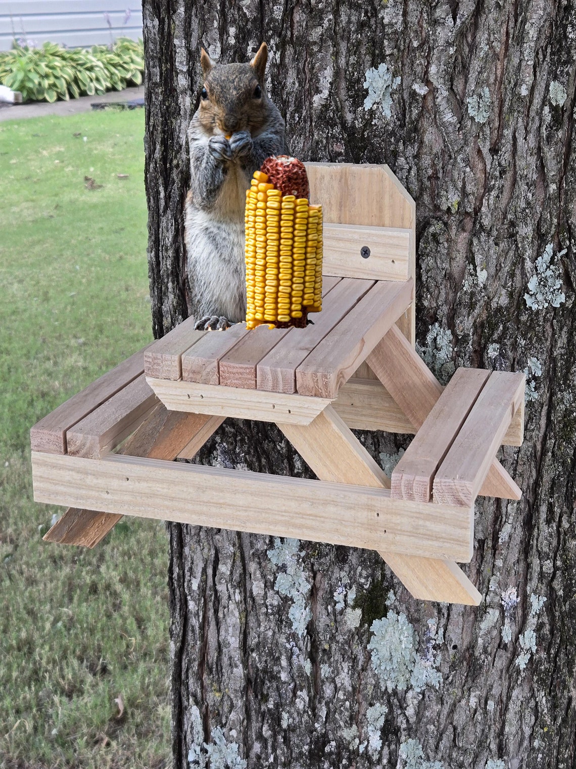 Cedar Wooden Squirrel/bird Feeder Picnic Table 10 X 5.5 - Etsy