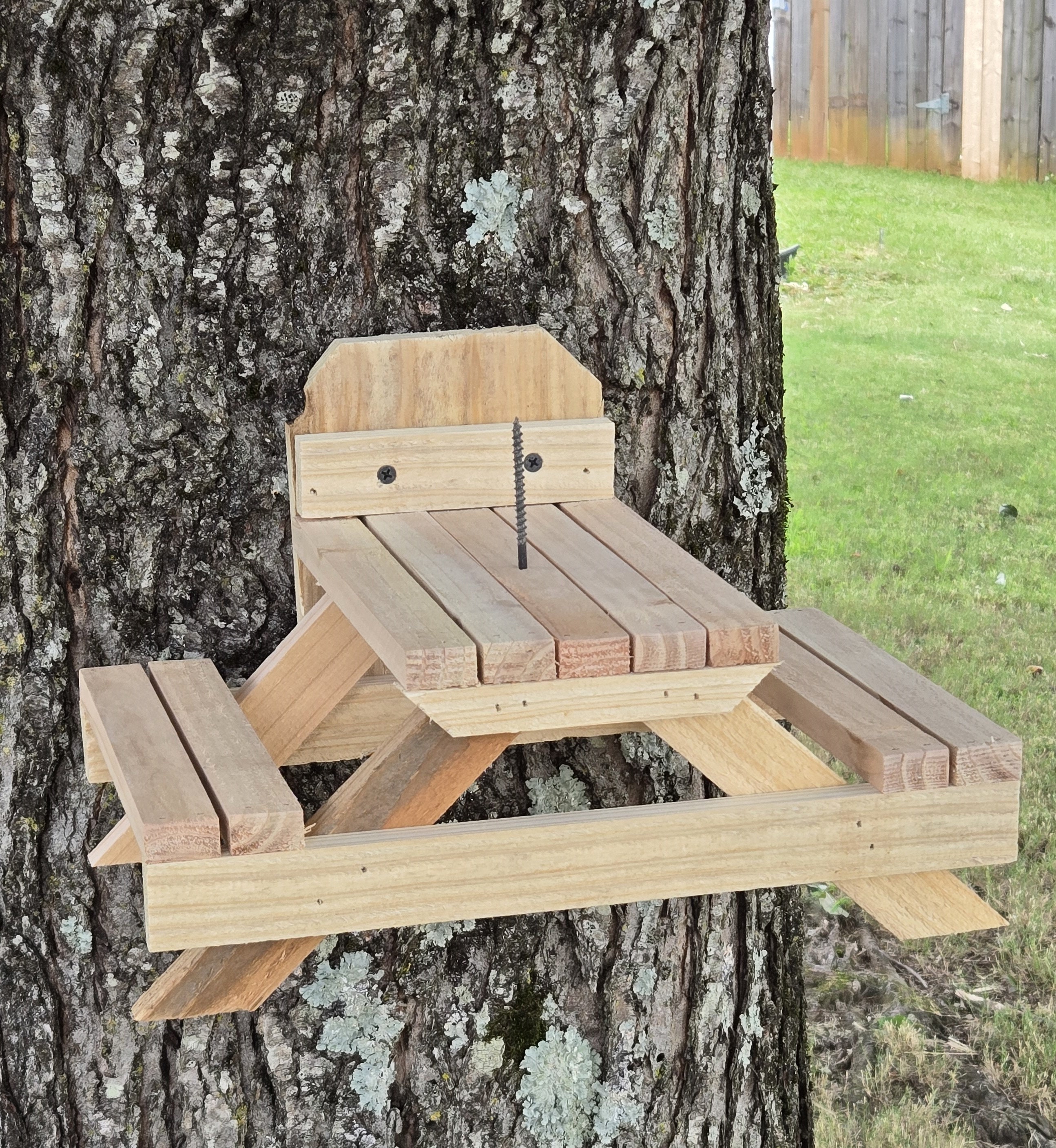 Cedar Wooden Squirrel/bird Feeder Picnic Table 10 X 5.5 - Etsy