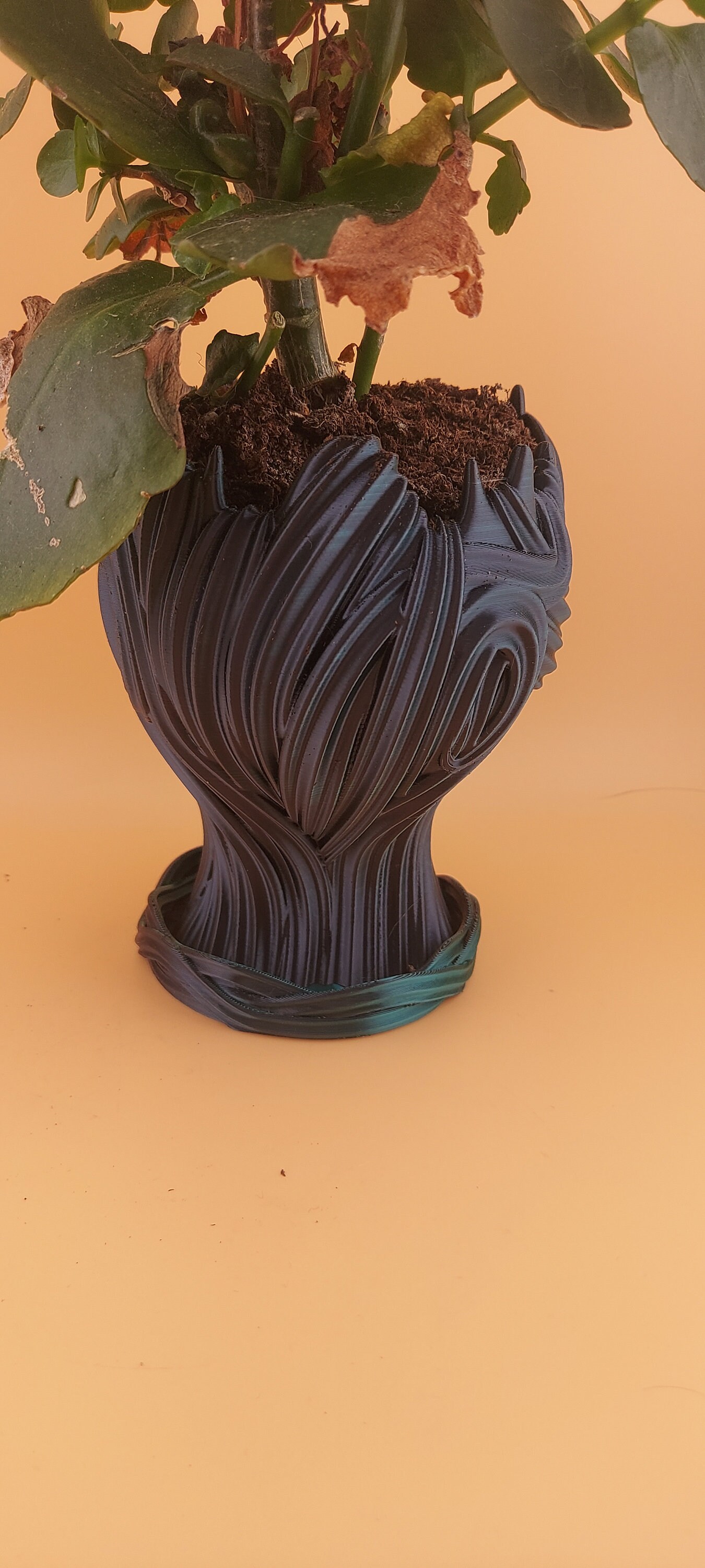 Woman Head Planter Plants Planter Home Decor - Etsy Australia