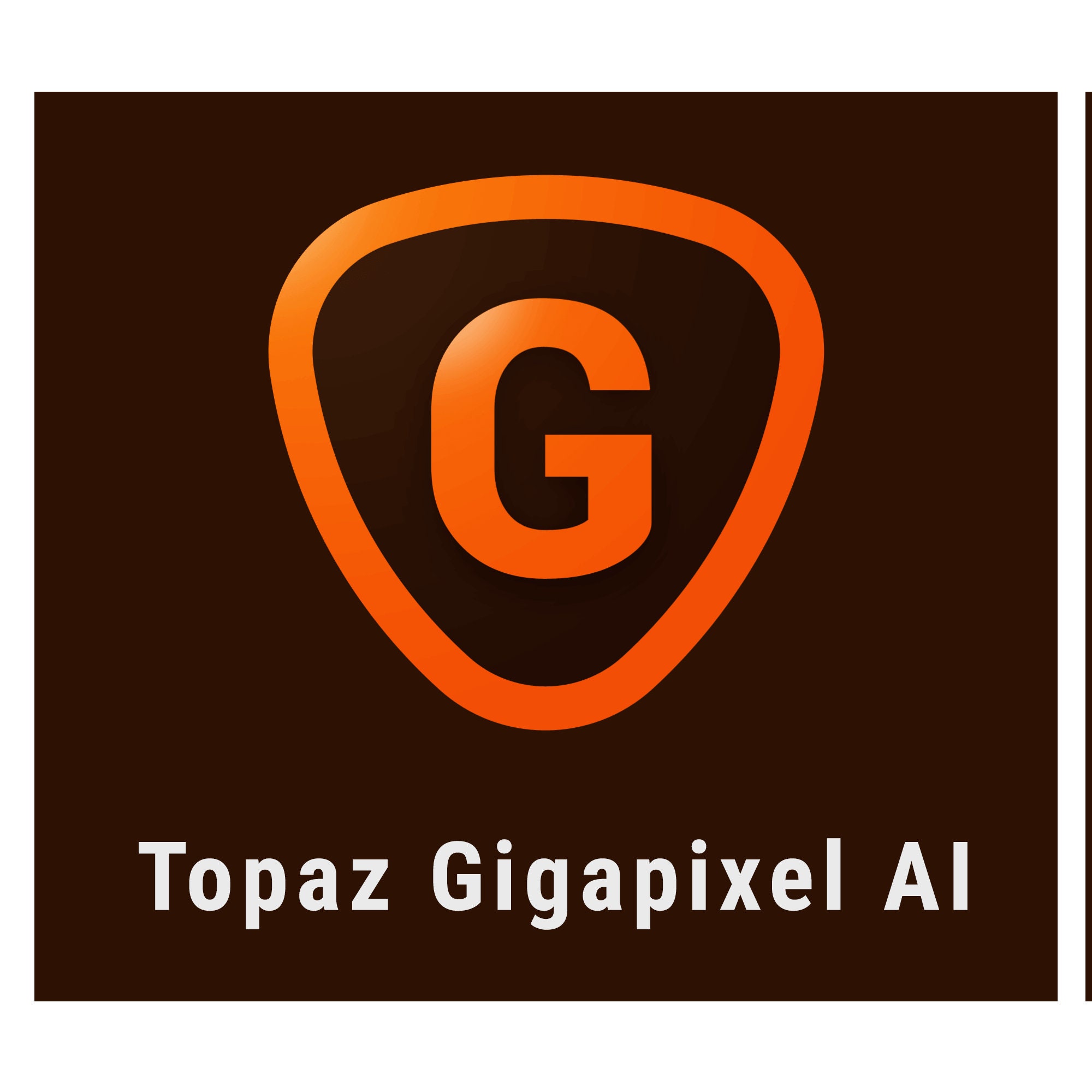 Topaz Gigapixel AI 6.3.3 - Etsy