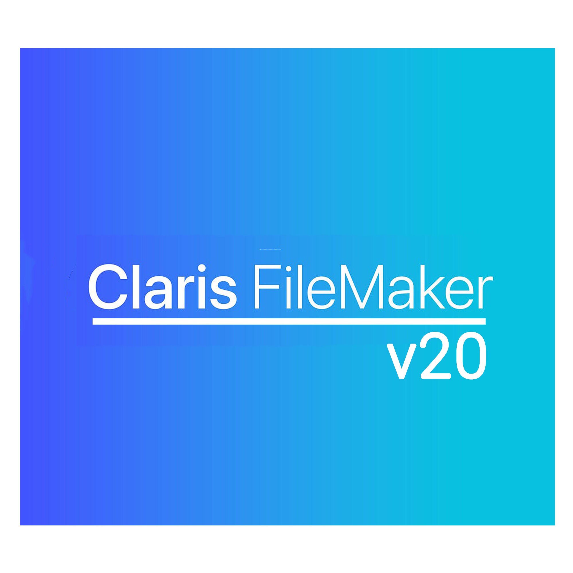 Claris Filemaker Pro 20 - Etsy