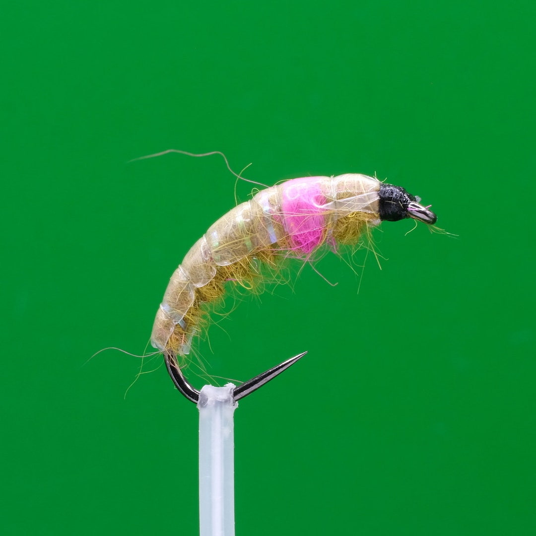 Czech Nymph Golden Olive Size 10BL Barbless River Stillwater Fly ...