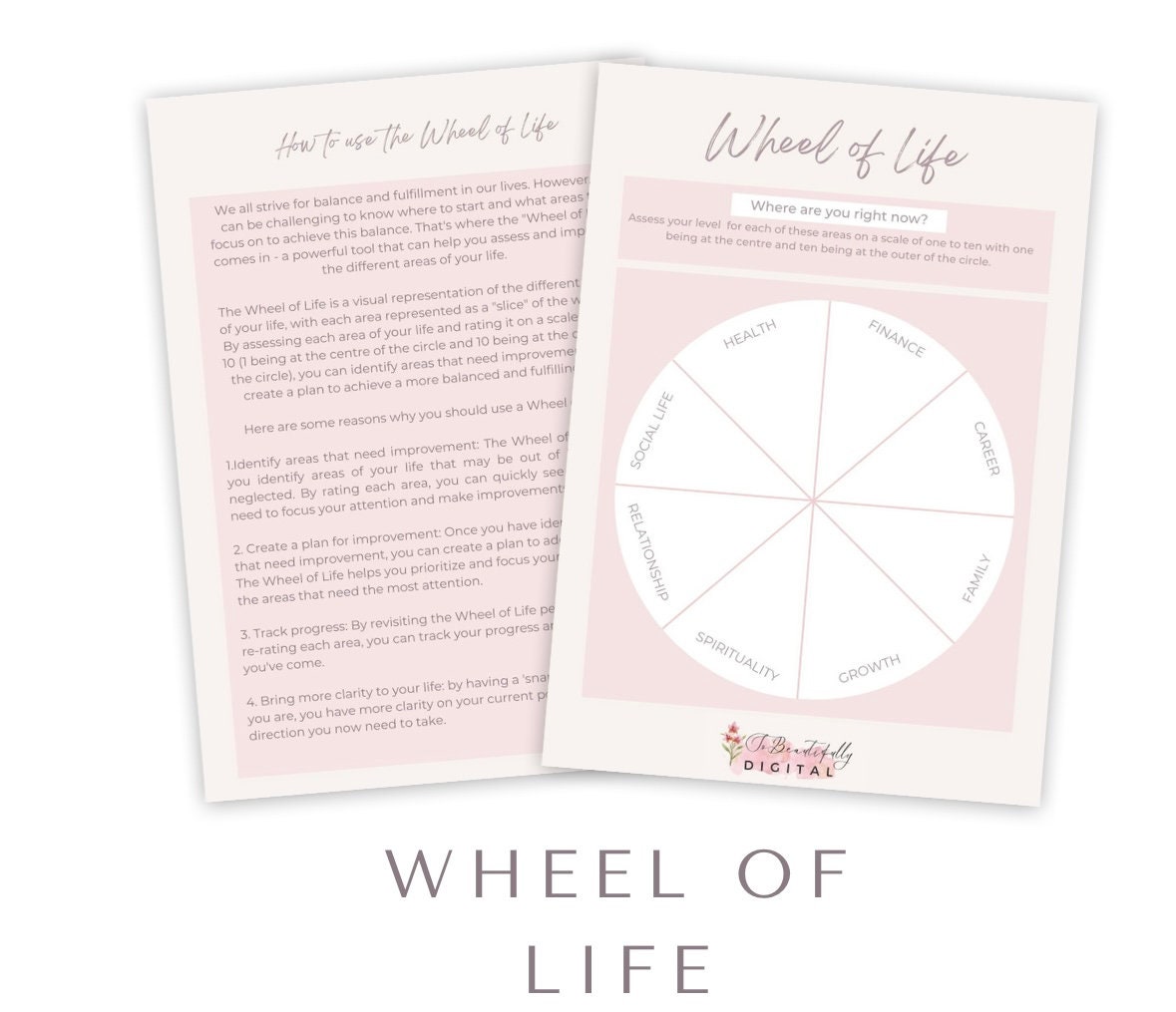 Wheel of Life Worksheet Template, Wheel of Life Printable Planner ...