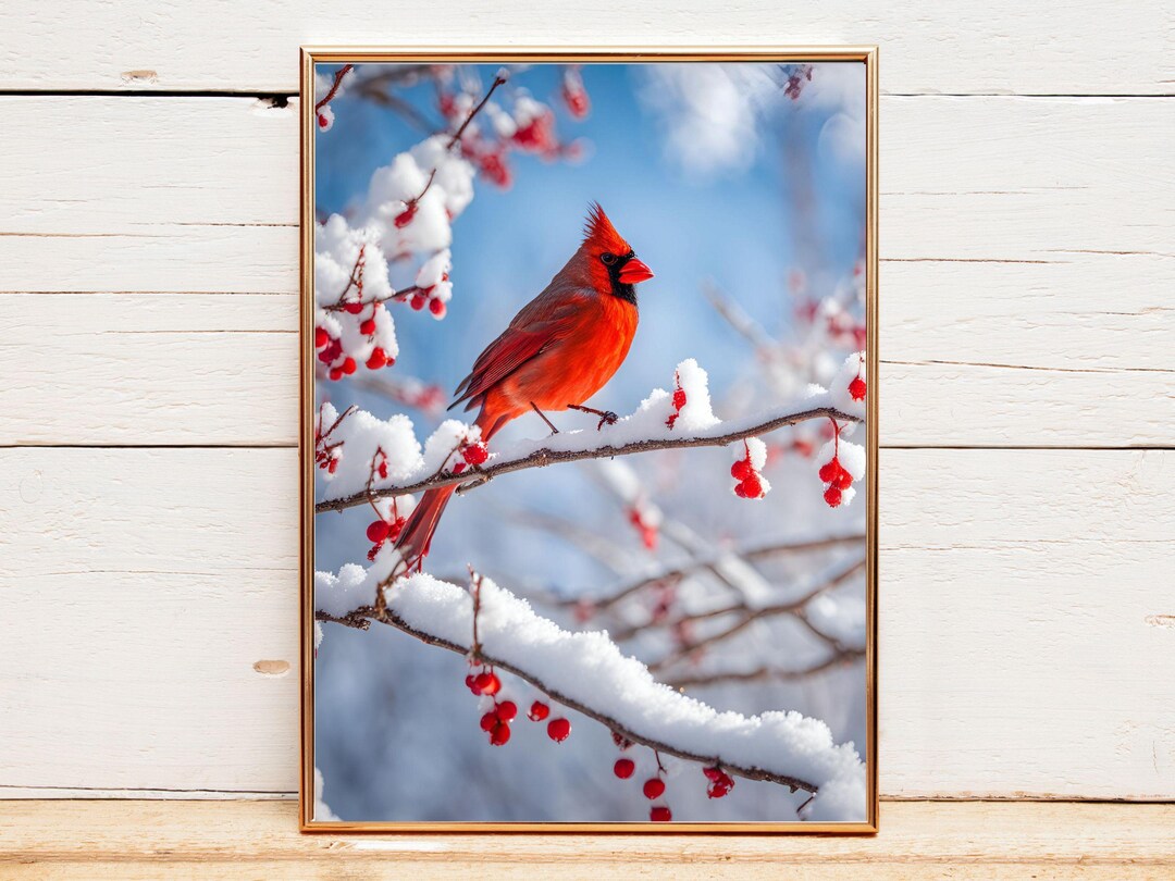 Cardinal Printables, Cardinal Prints, Cardinal Printable, Winter ...