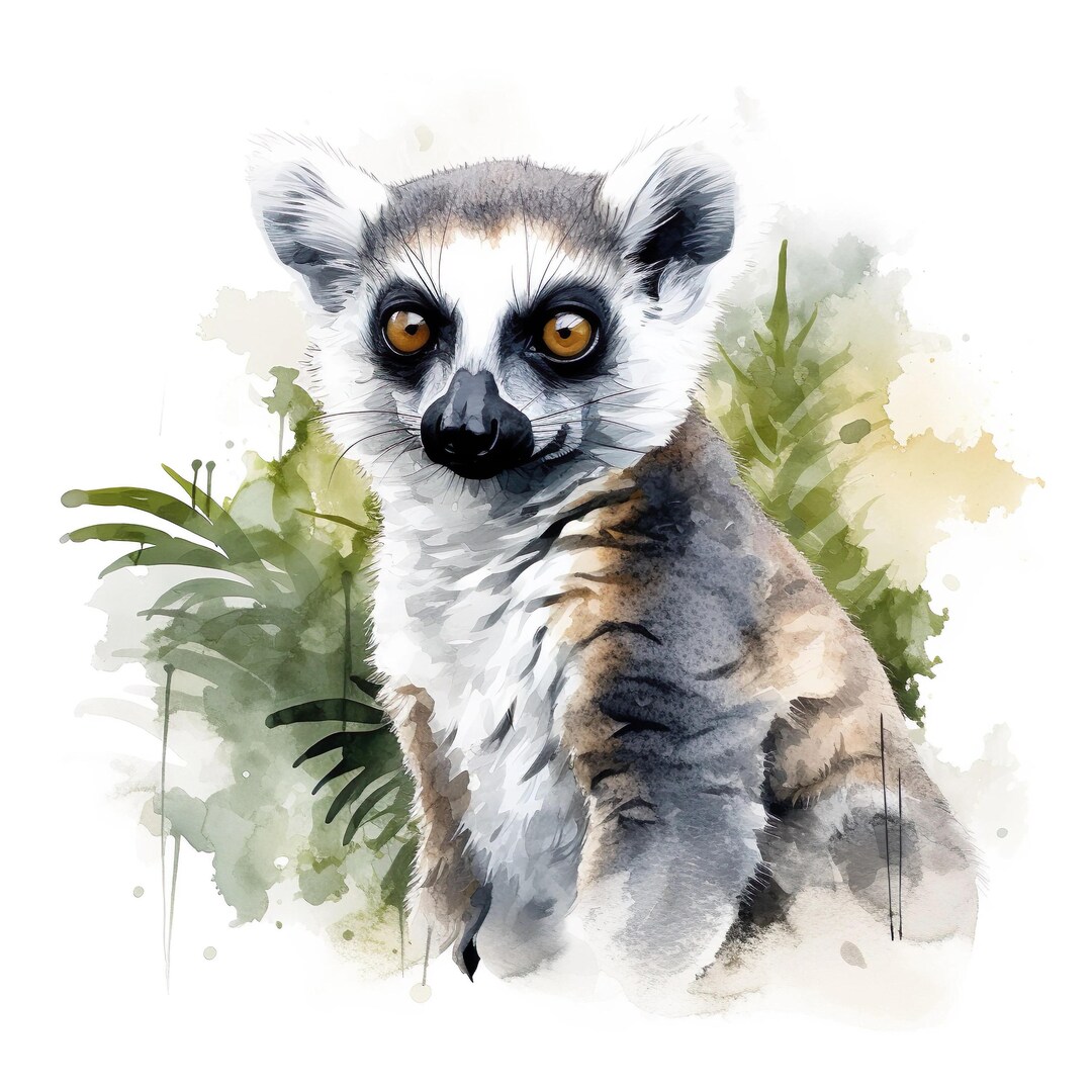 Car Sticker Cute Lemur Watercolor Sticker – Cute Animal Motif Sticker ...