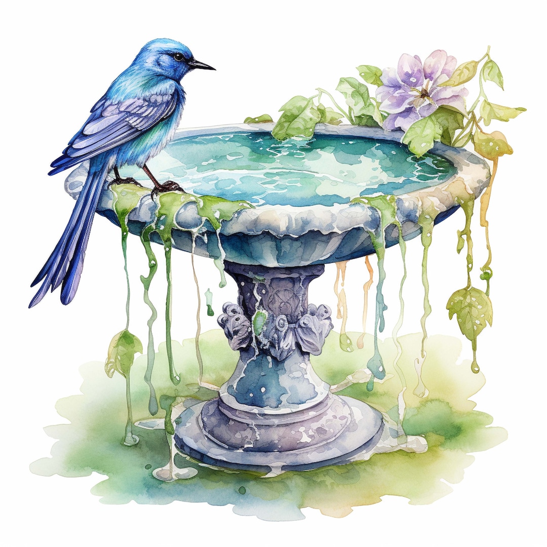 Car Sticker Watercolor Bird Bath Sticker Weatherproof Outdoor Vinyl - Etsy