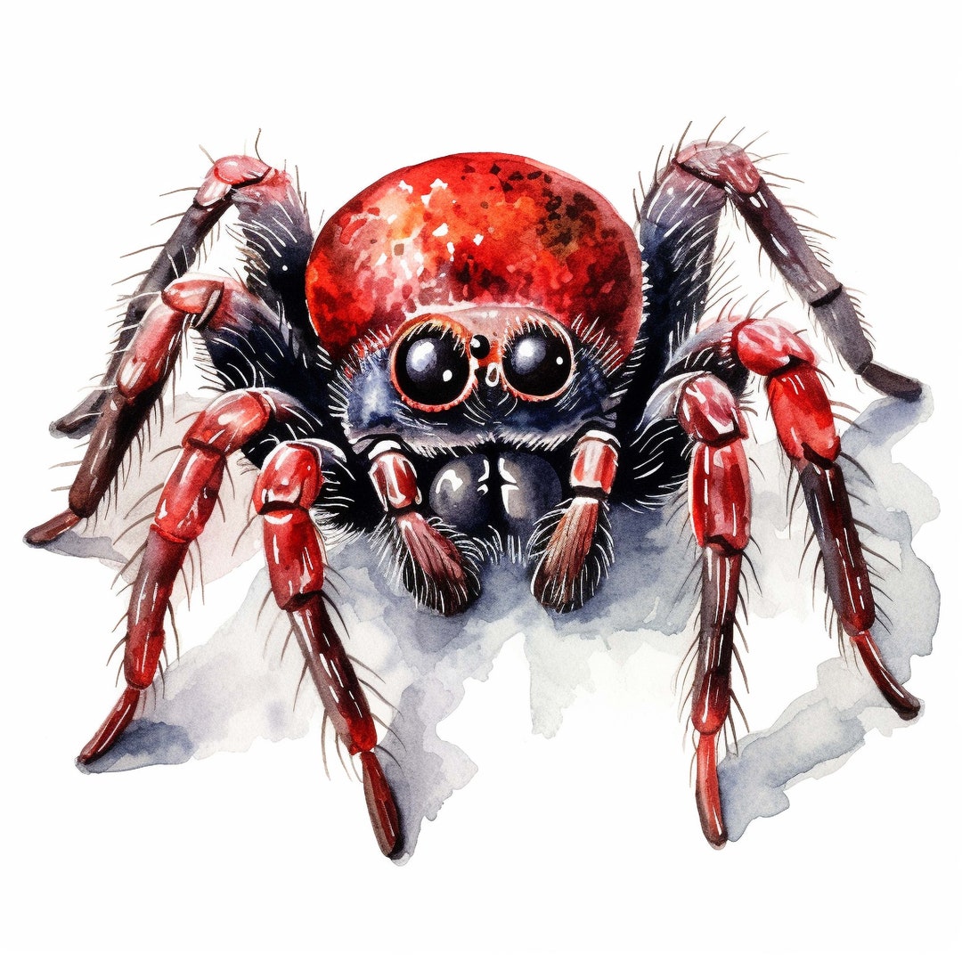 Watercolor Spider Sticker Red Spider Sticker Insect Wall Decal Nature ...