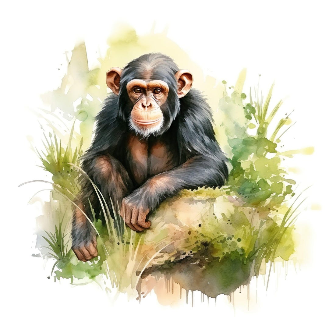 Chimpanzee Watercolor Sticker – Cute Monkey Sticker | Lunchbox Sticker ...