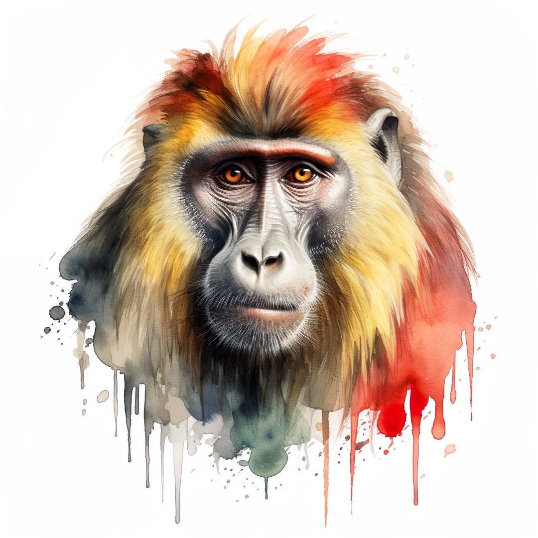Fascinating Mandrill Monkey Sticker Car Sticker Wall Decal Colorful ...