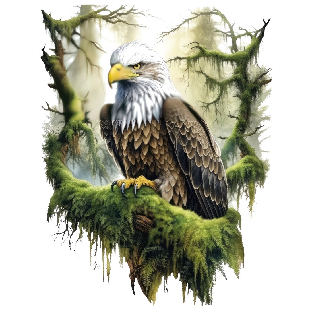 Car Sticker Eagle Sticker - Etsy