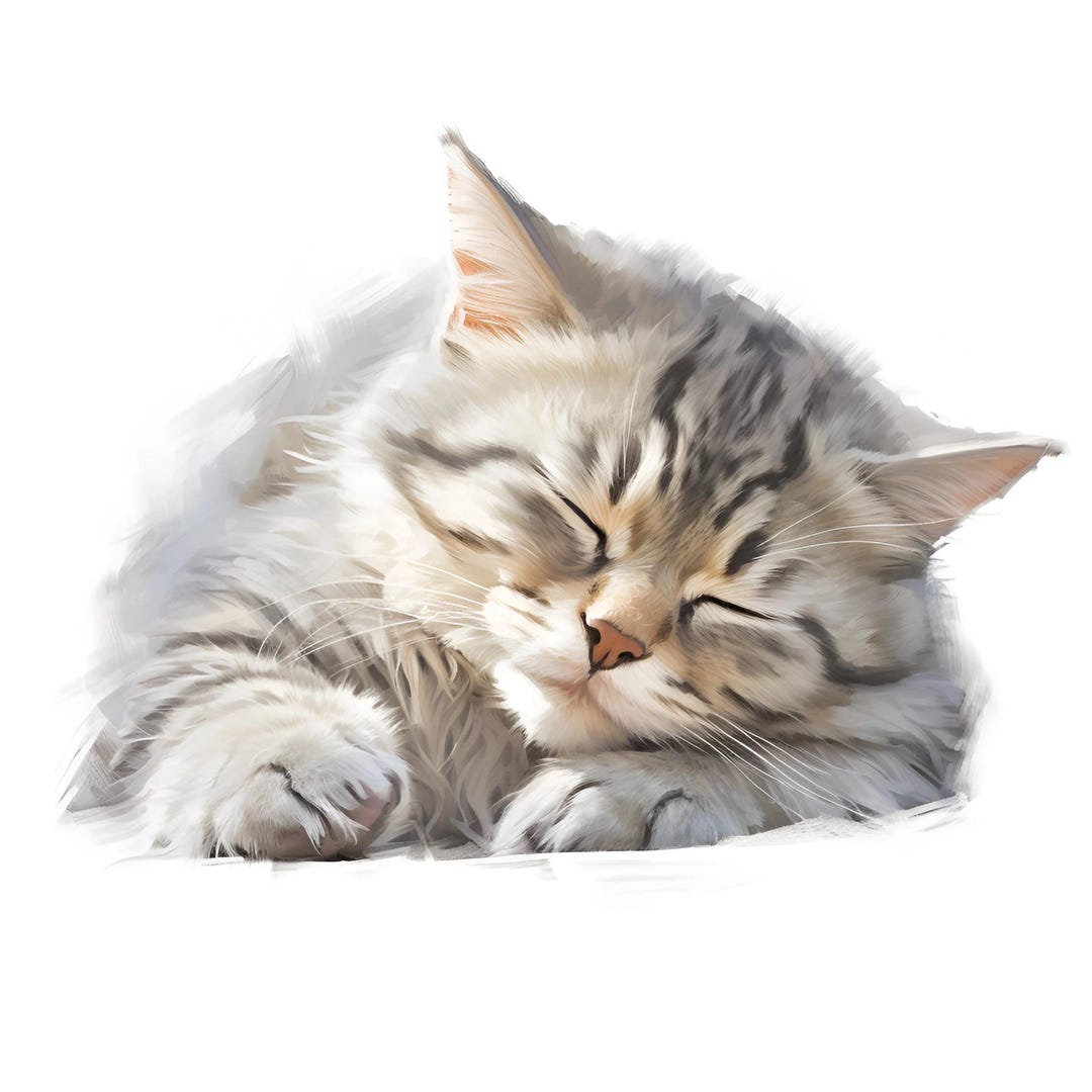 Cute Sleeping Cat Sticker – Sweet Kitten Car Sticker. Please Note ...