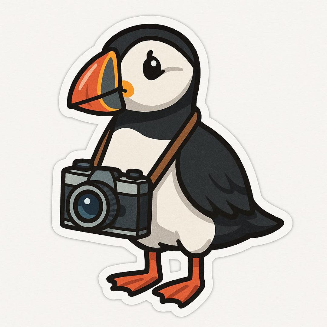 Puffin With Camera Sticker – Cute Car Sticker – Weatherproof ...