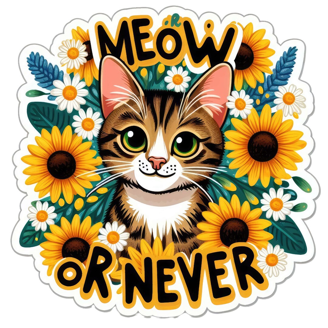 Car Sticker Funny Cats Sticker Weatherproof Outdoor Vinyl - Etsy