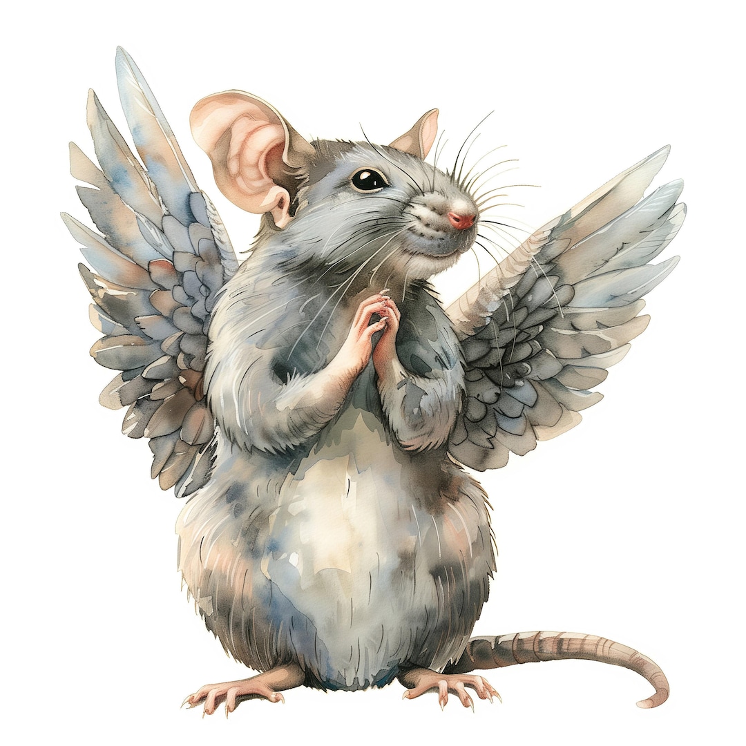 Car Sticker Rat Angel Watercolor Look Funny Animal Sticker Comic Rat ...