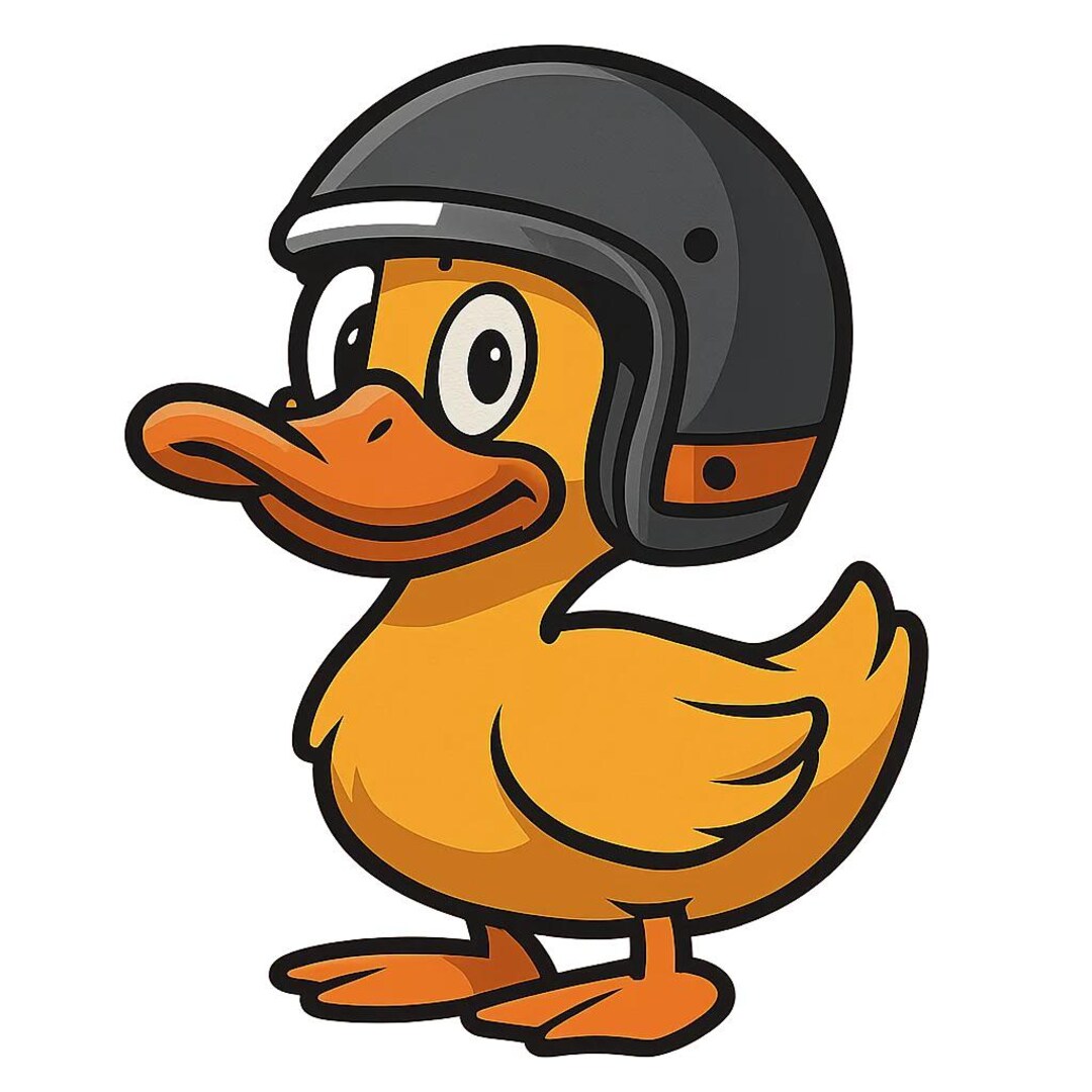 Duck With Motorcycle Helmet Iron-on Transfer – Funny DTF Transfer Motif ...