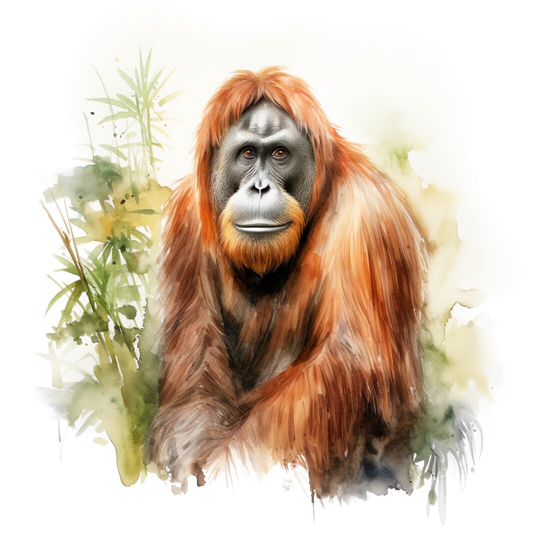 Car Sticker Orangutan Watercolor Sticker Weatherproof Outdoor Vinyl ...
