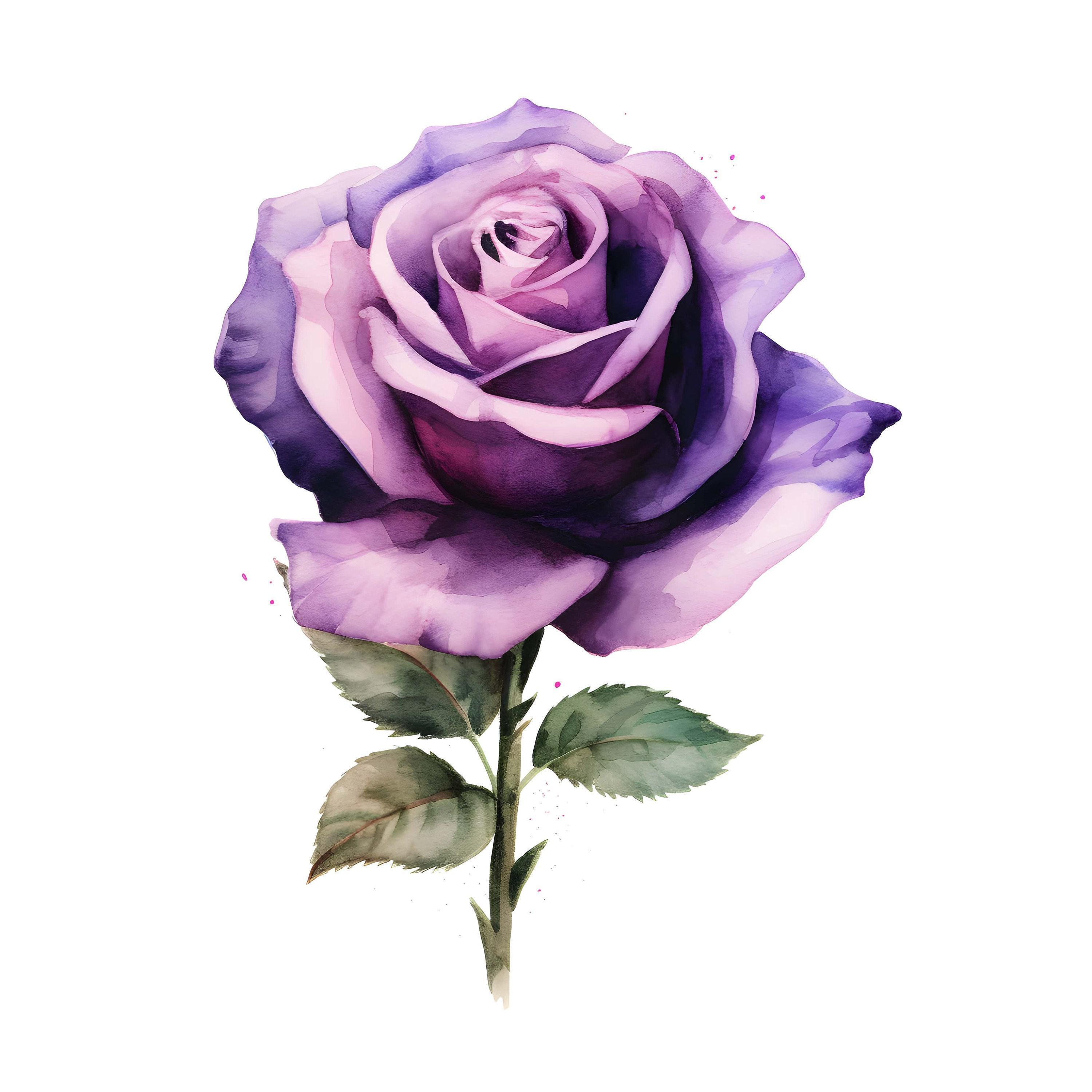 Car Sticker Watercolor Purple Roses Sticker Weatherproof Outdoor Vinyl ...