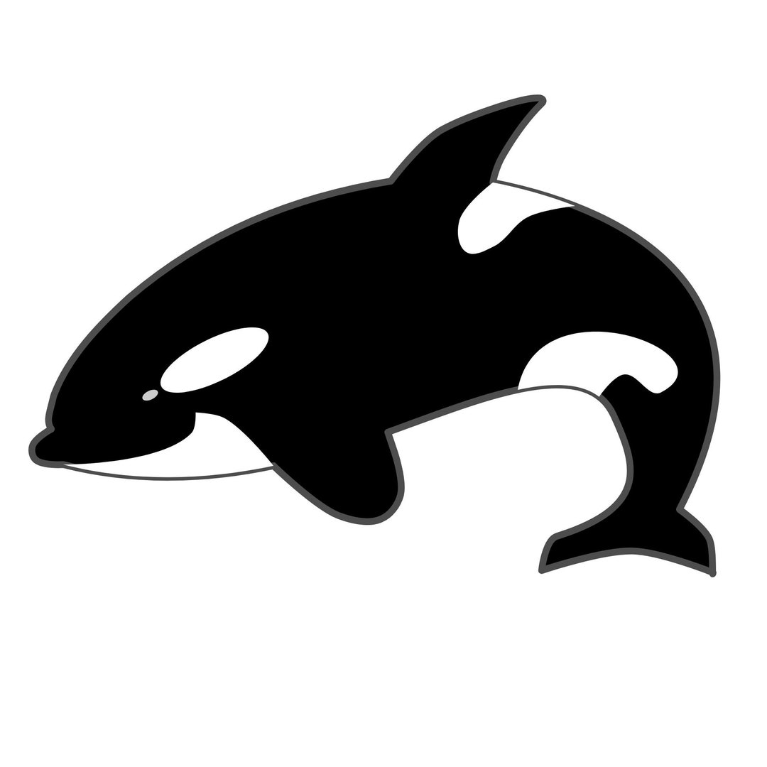 Car Sticker Orca Whale Sticker Weatherproof Outdoor Vinyl - Etsy