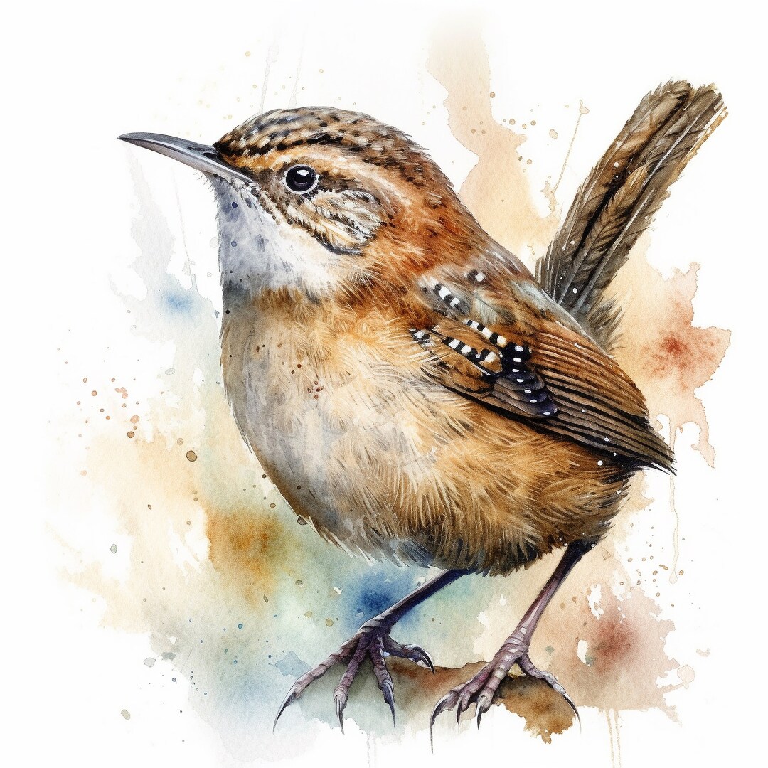 Car Sticker Wren Sticker Weatherproof Outdoor Vinyl - Etsy