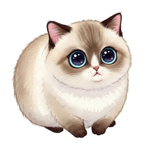 5x Watercolor Cat Stickers, 5 Different Designs | Funny, Quirky | Car ...