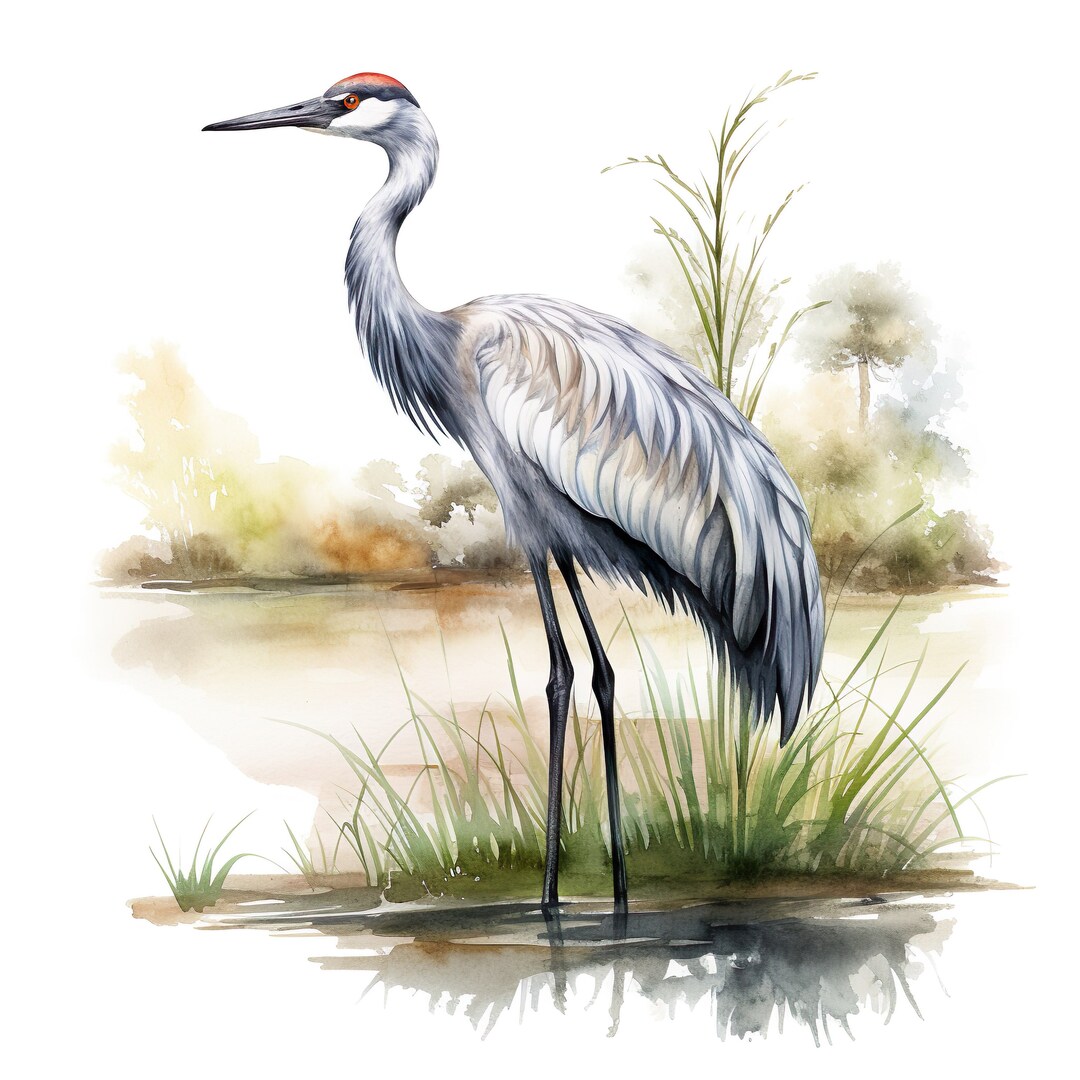 Crane Watercolor Sticker Personalizable Outdoor Vinyl Sticker - Etsy