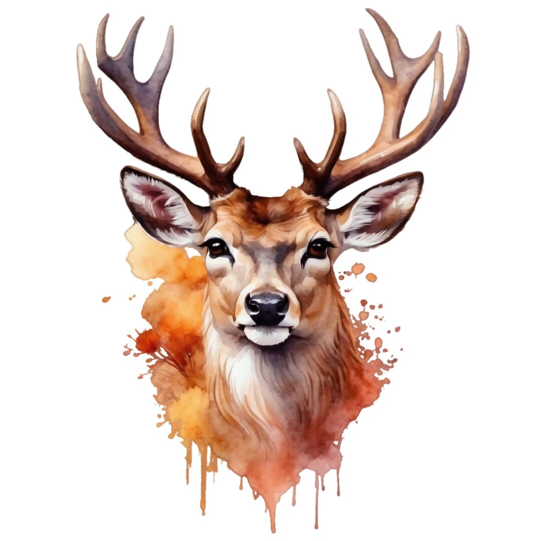 Car Sticker Deer Sticker Weatherproof Outdoor Vinyl Sticker ...