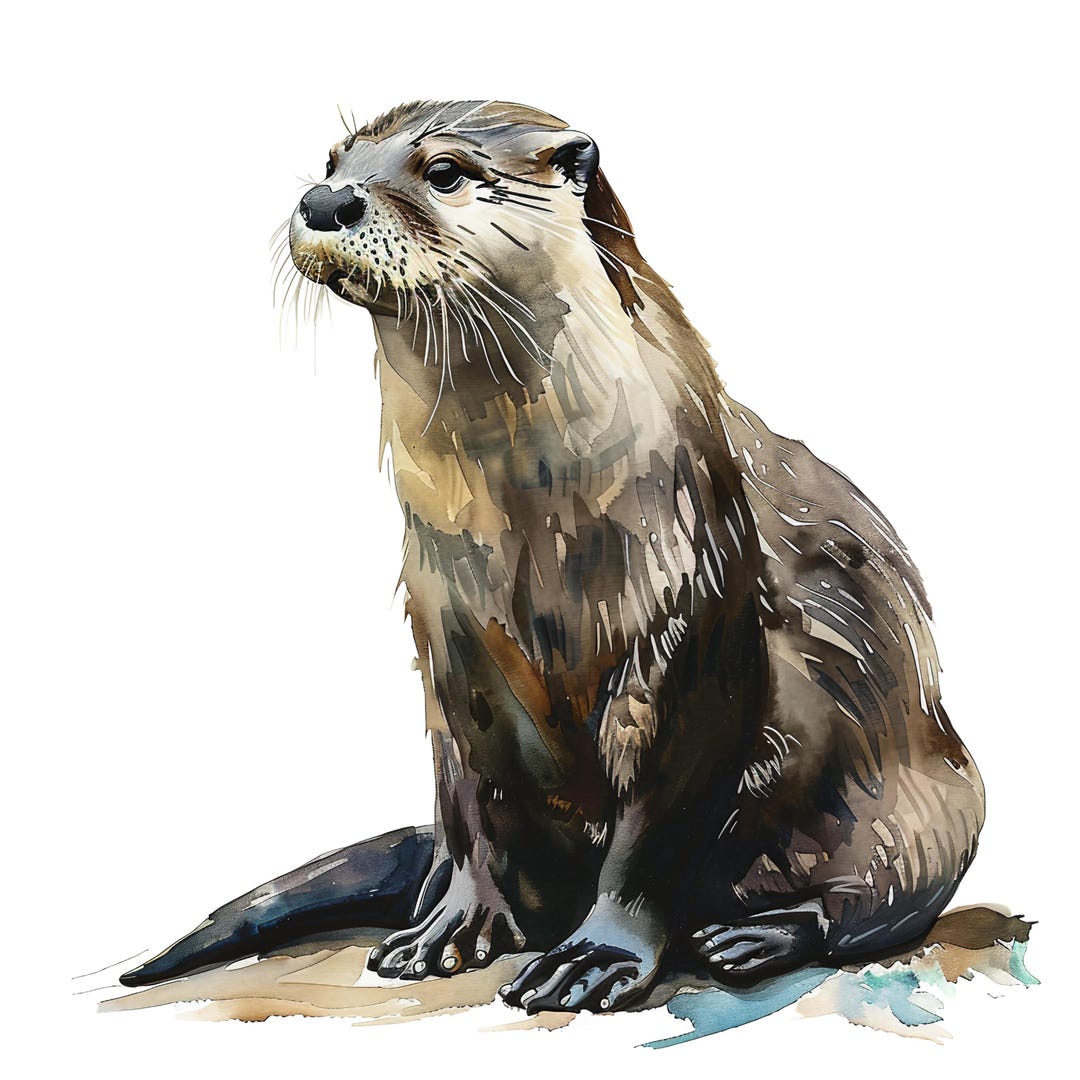 5X Otter Sticker Set Realistic Car Stickers Waterproof Vinyl Nature ...
