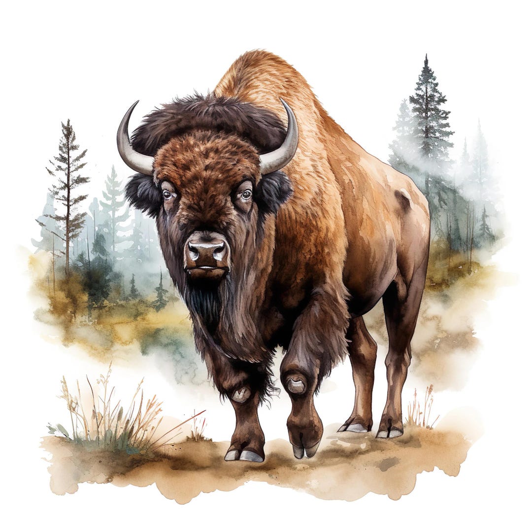 Bison Sticker Watercolor – Wild Animal Sticker for Car, Laptop, Wall ...