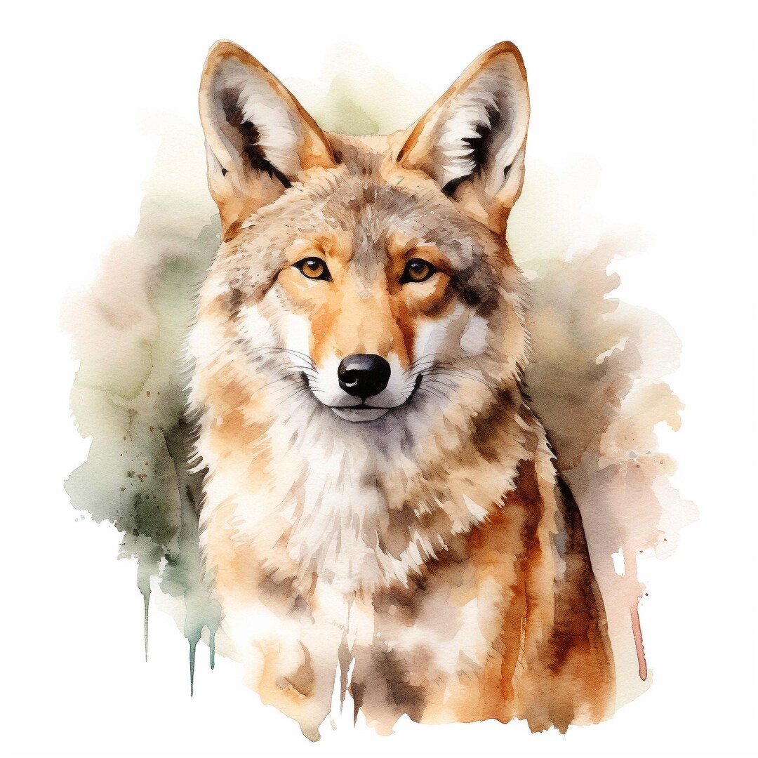 Car Sticker Coyote Watercolor Look Wild Animal Sticker Nature Motif Desert Wolf Car Window ...