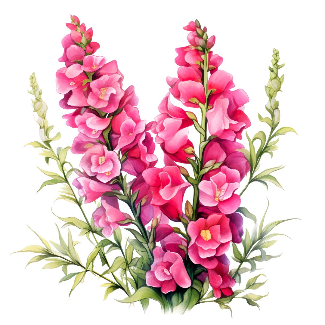 Car Sticker Snapdragon Watercolor Flowers Sticker Weatherproof Outdoor ...