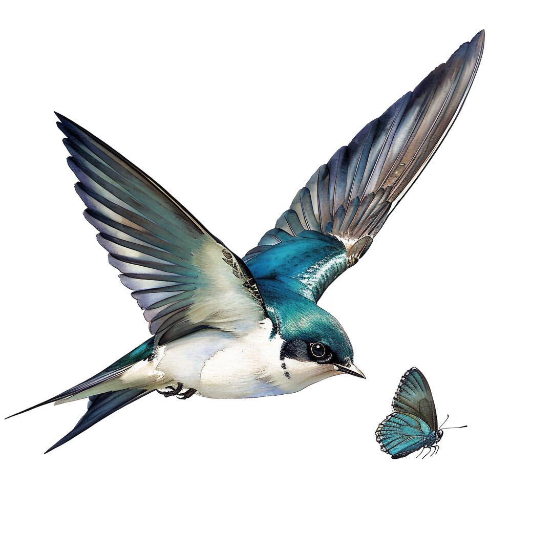 5X Tree Swallow Sticker Set (5 Pieces): Bird Car Stickers, Blue, Nature ...