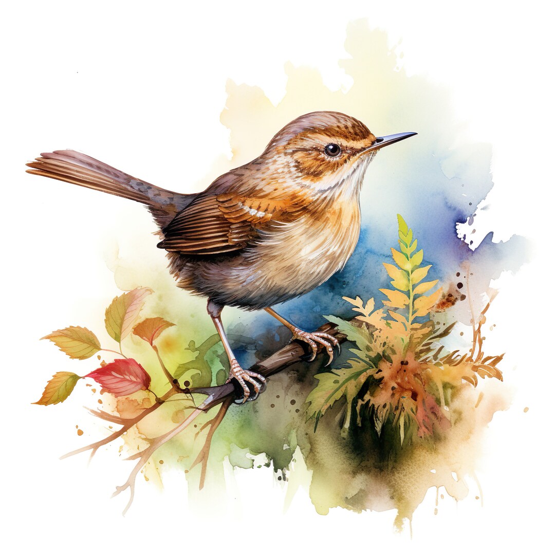 Car Sticker Wren Watercolor Bird Decal Weatherproof Outdoor Vinyl - Etsy